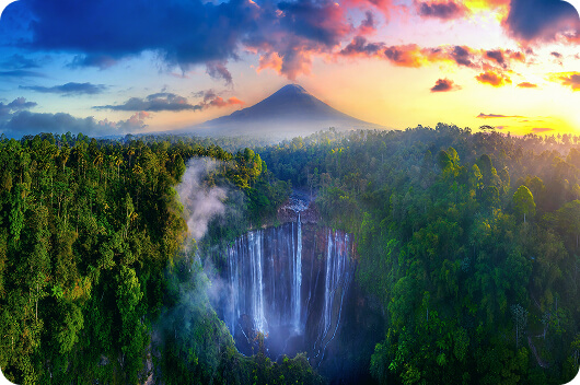 Apply for Indonesia eVisa On Arrival (e-VoA) | VFS Global